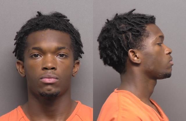 Late Night Arrest Made in Sunset Park for Possible Sexual Activity