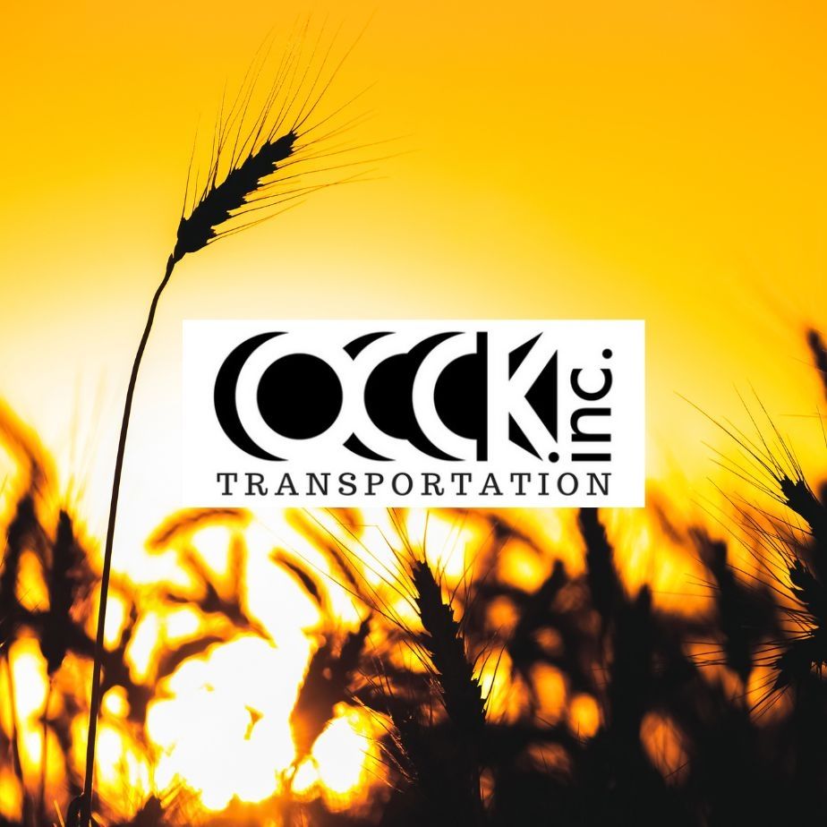OCCK, Inc. Announces 2023 More Than You Think Scholarship Recipients