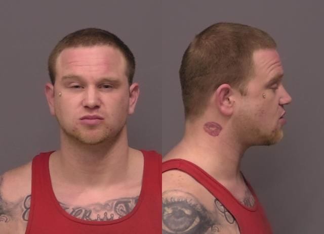 K9 Officer Ty Assists in Apprehension of Warrant Suspect