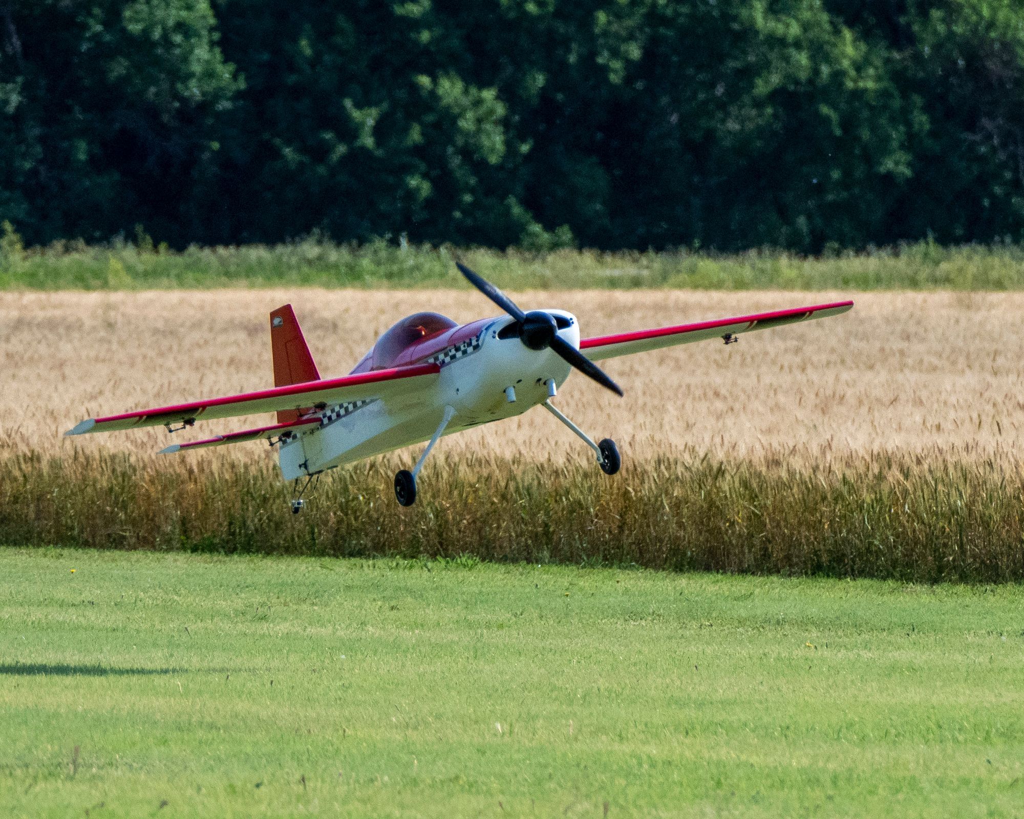 It's a Bird! It's a . . . Plane! (Photo Gallery)