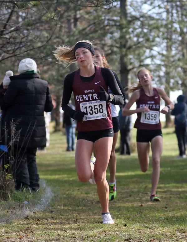Saline County Cross Country Preview